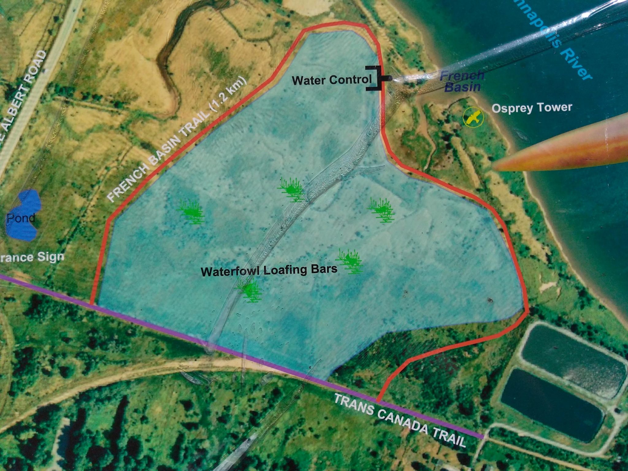 French Basin Marsh Trail in Annapolis Royal - Valley Family Fun